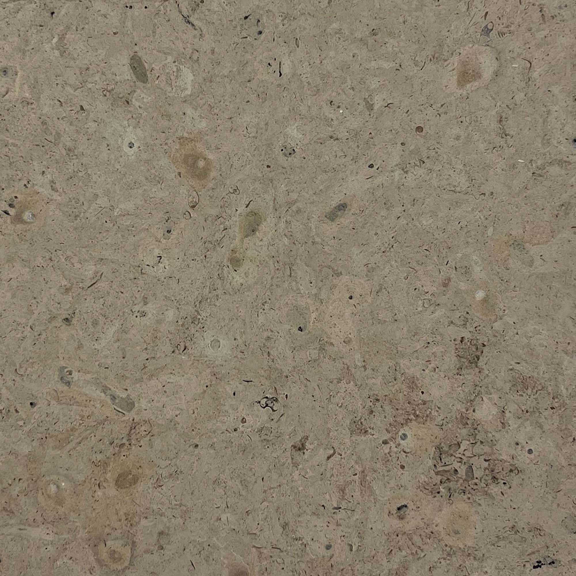 Reval kalksten, slipad. – Stencentralen